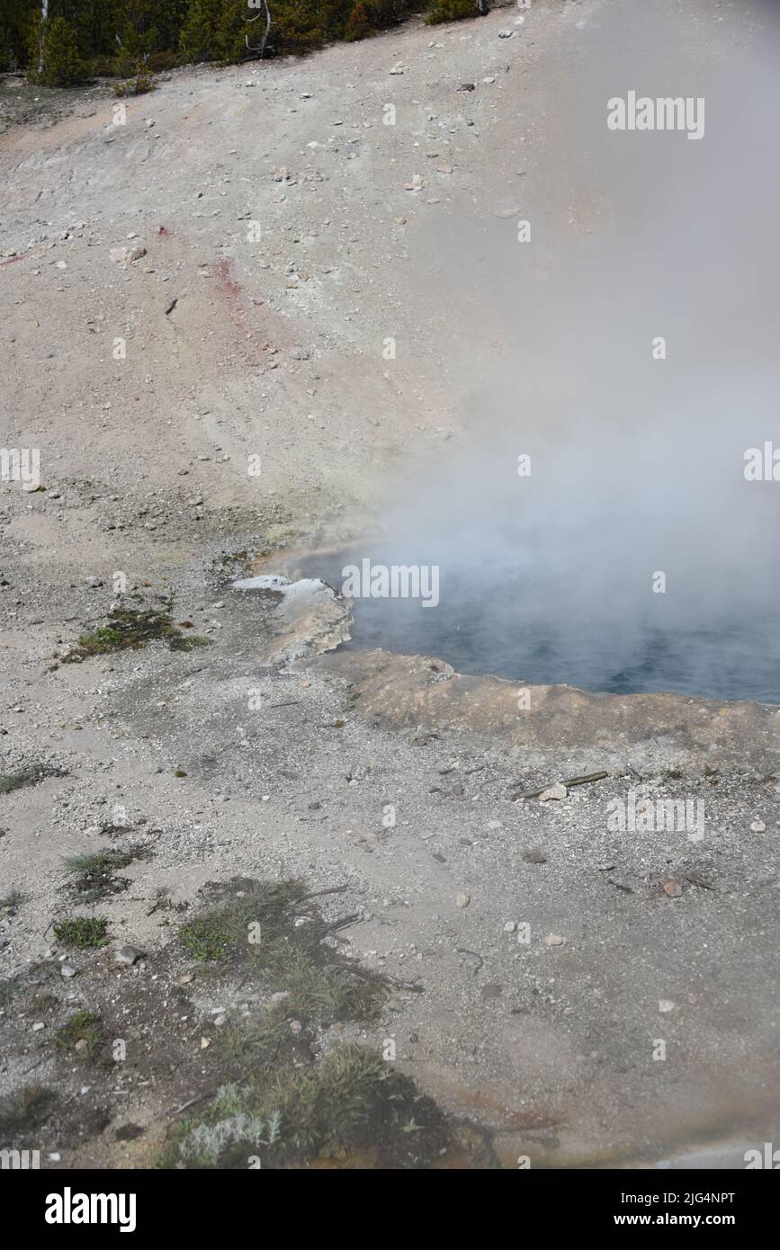 Yellowstone National Park, USA. 5/21-24/2022. Beryl spring is a ...