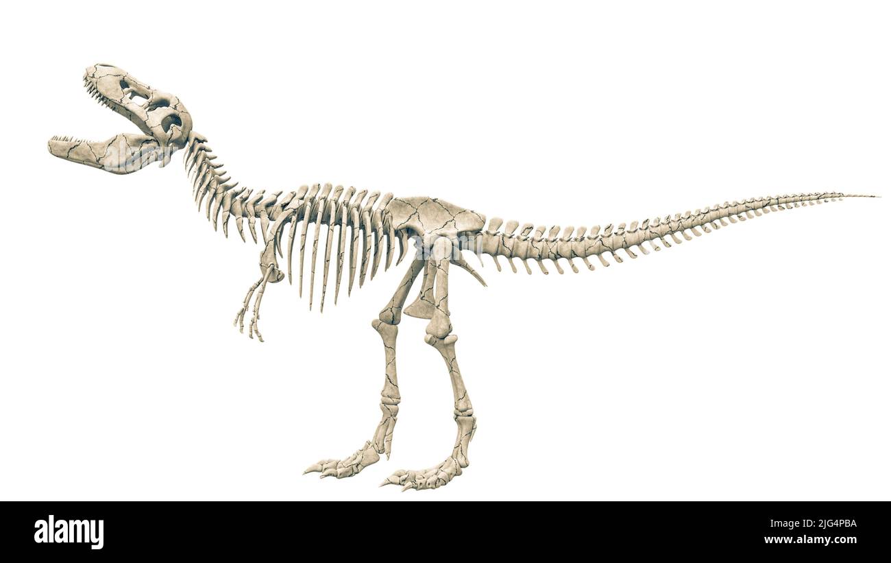 Side view tyrannosaurus rex dinosaur hi-res stock photography and ...