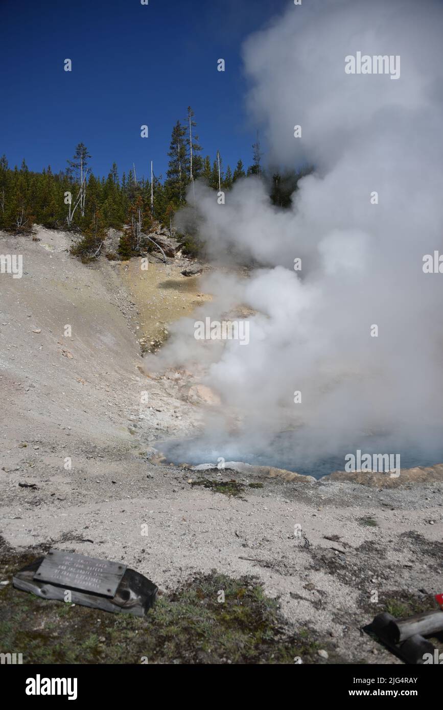 Beryl spring superheated hi-res stock photography and images - Alamy