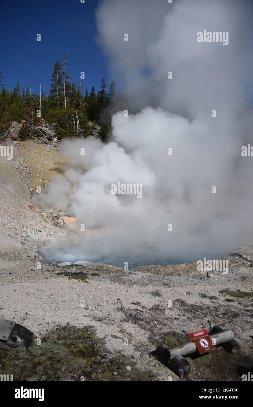 Yellowstone National Park, USA. 5/21-24/2022. Beryl spring is a ...