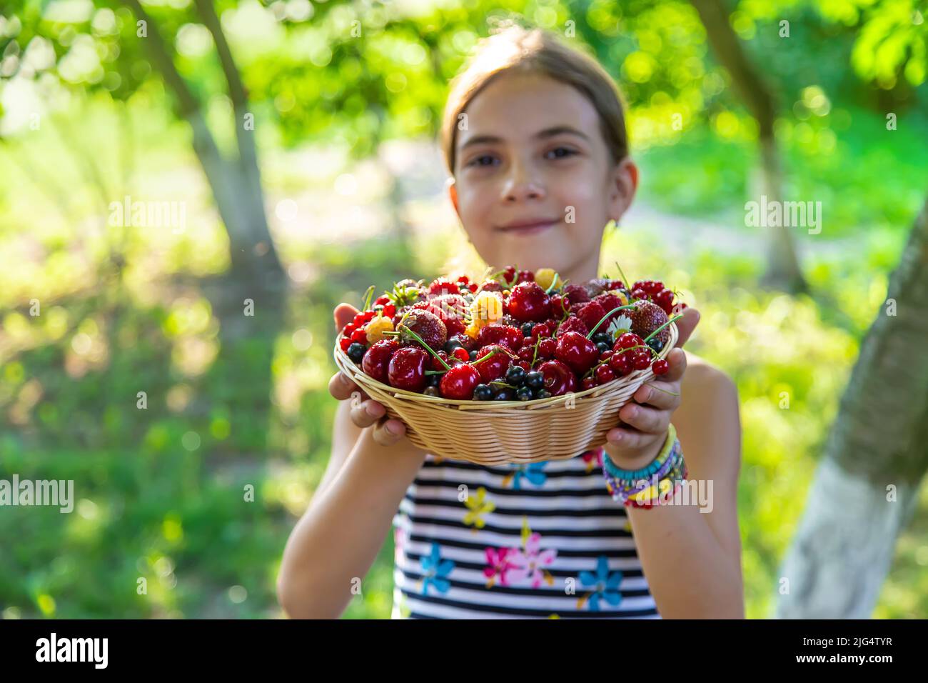 The child eats berries in the garden. Selective focus. Kid Stock Photo ...