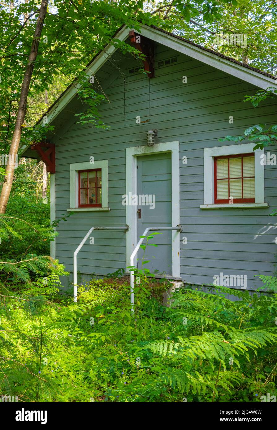 Wooden hut trees in forest architecture hi-res stock photography and ...