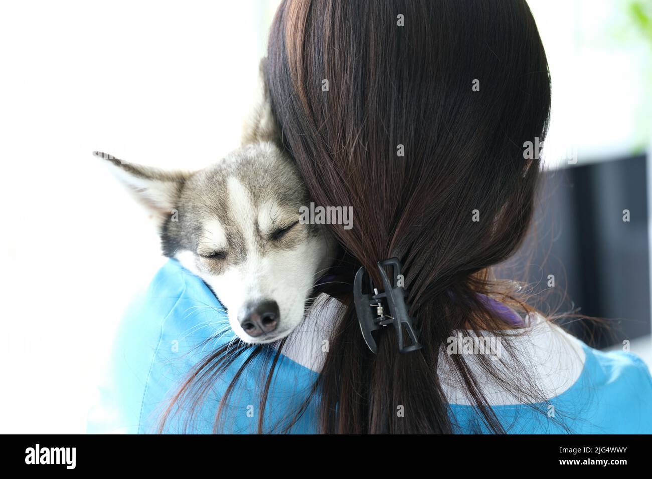 Dog hospital human patient hi-res stock photography and images - Alamy