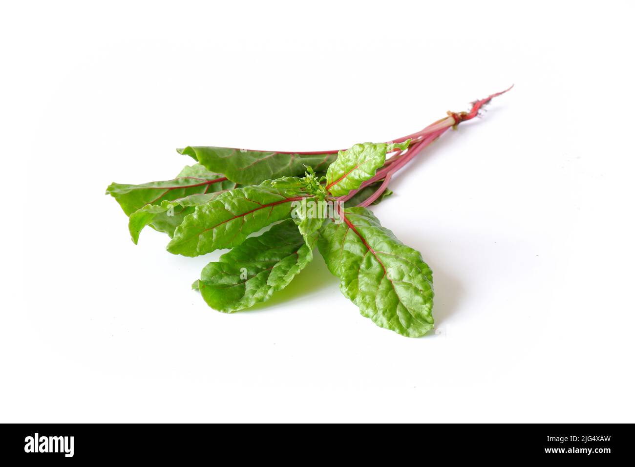 Red chard leaves on a white background. Useful edible plant close-up ...