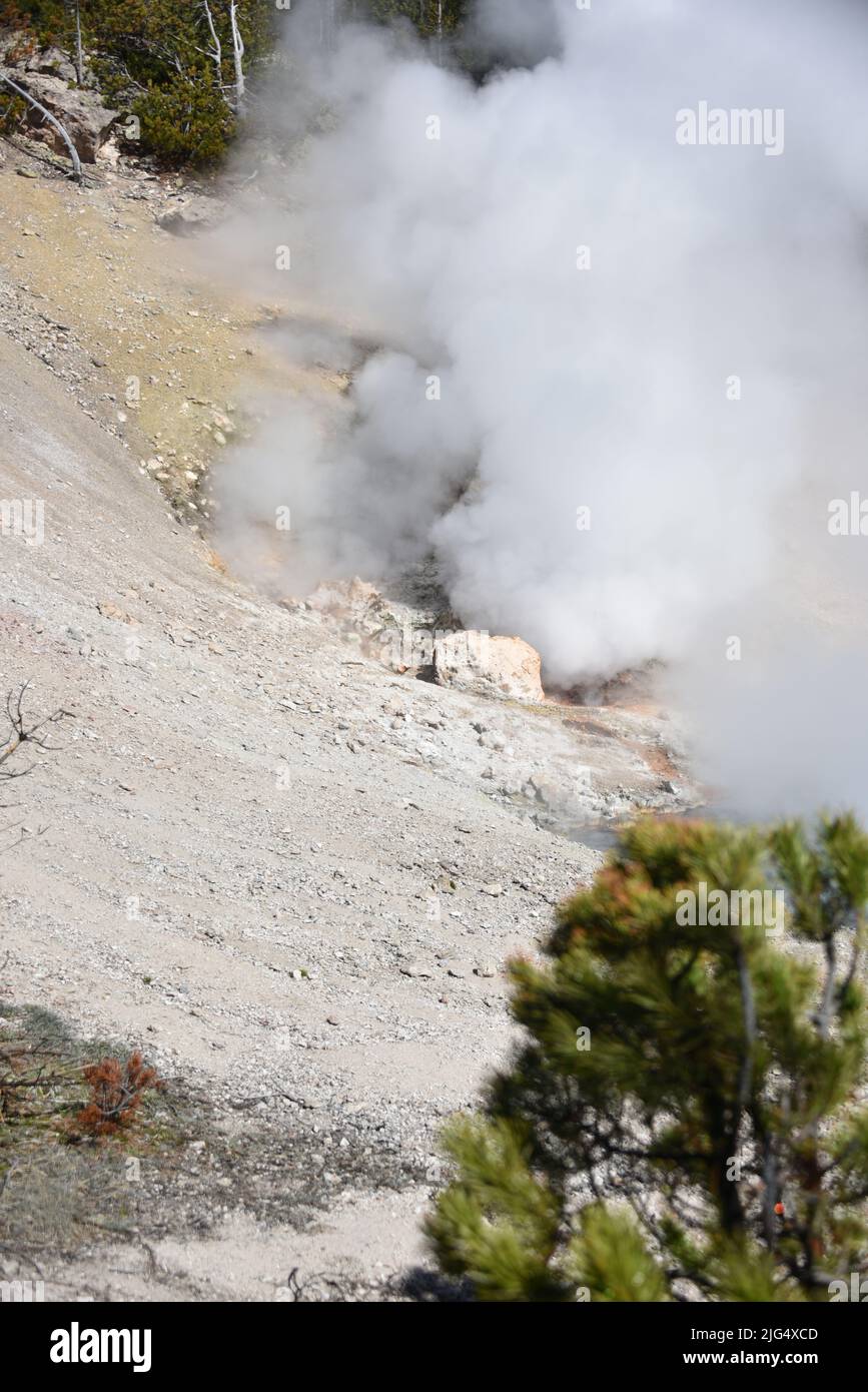 Yellowstone National Park, USA. 5/21-24/2022. Beryl spring is a ...
