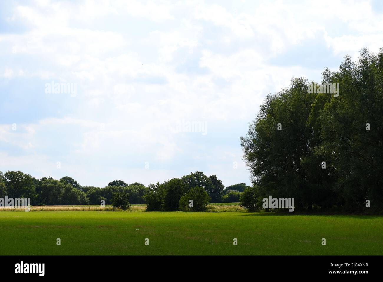 Beautiful green park landscape in Europe, golf green in a rural ...