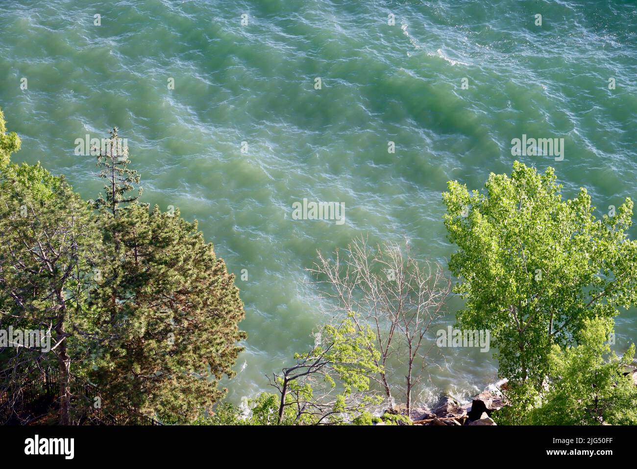 Northeast ohio trees hi-res stock photography and images - Alamy