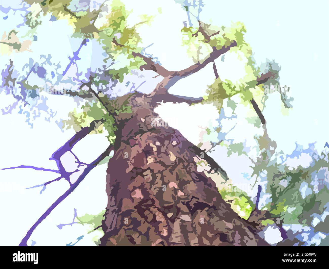 Poplar trunk closeup with green foliage against blue sky. Tree trunk ...