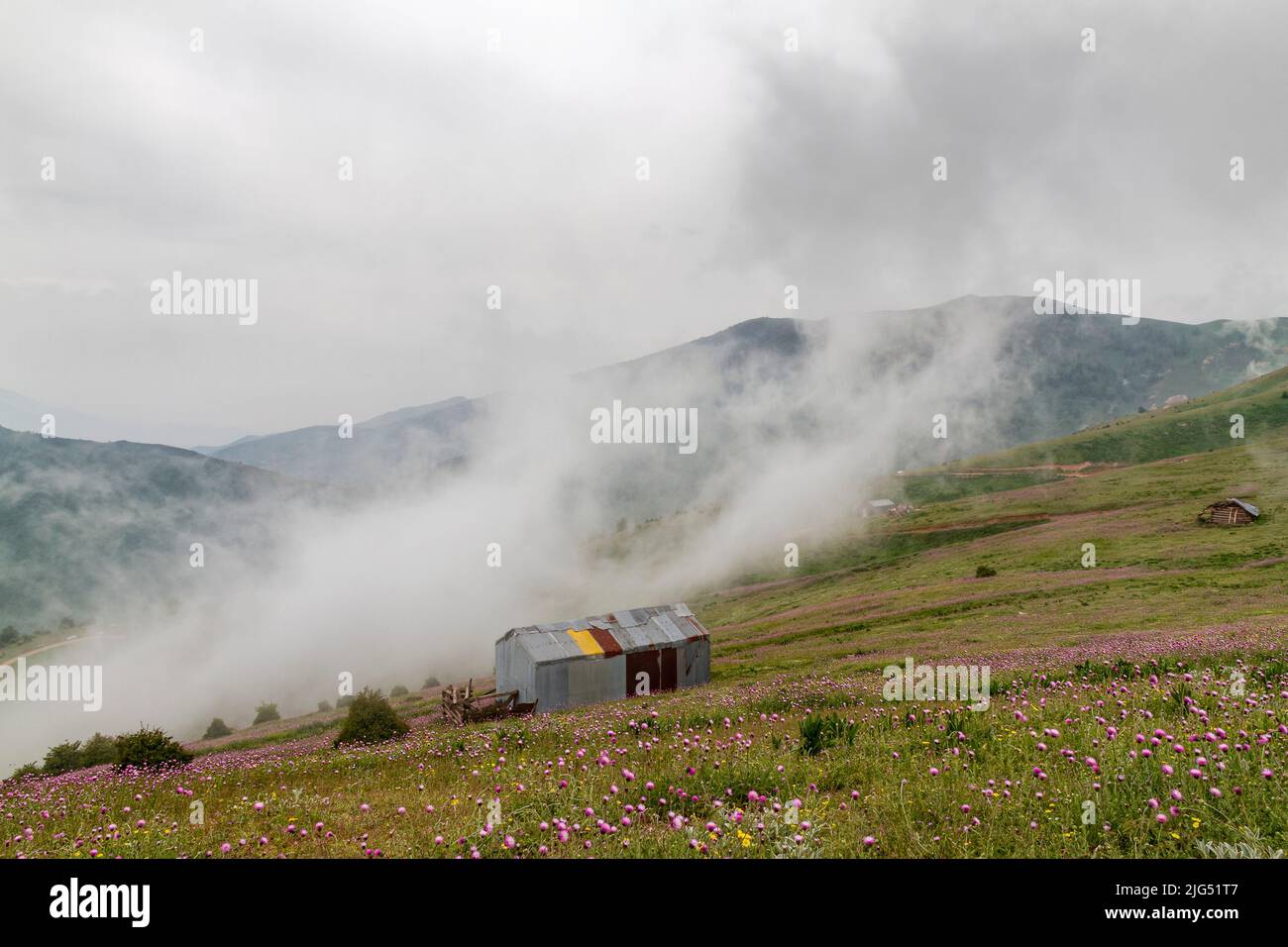 Gilan nature hi-res stock photography and images - Alamy