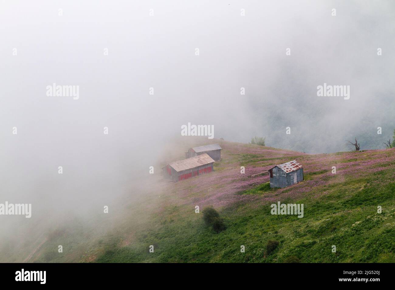 Beautiful view landscape thick hi-res stock photography and images - Alamy