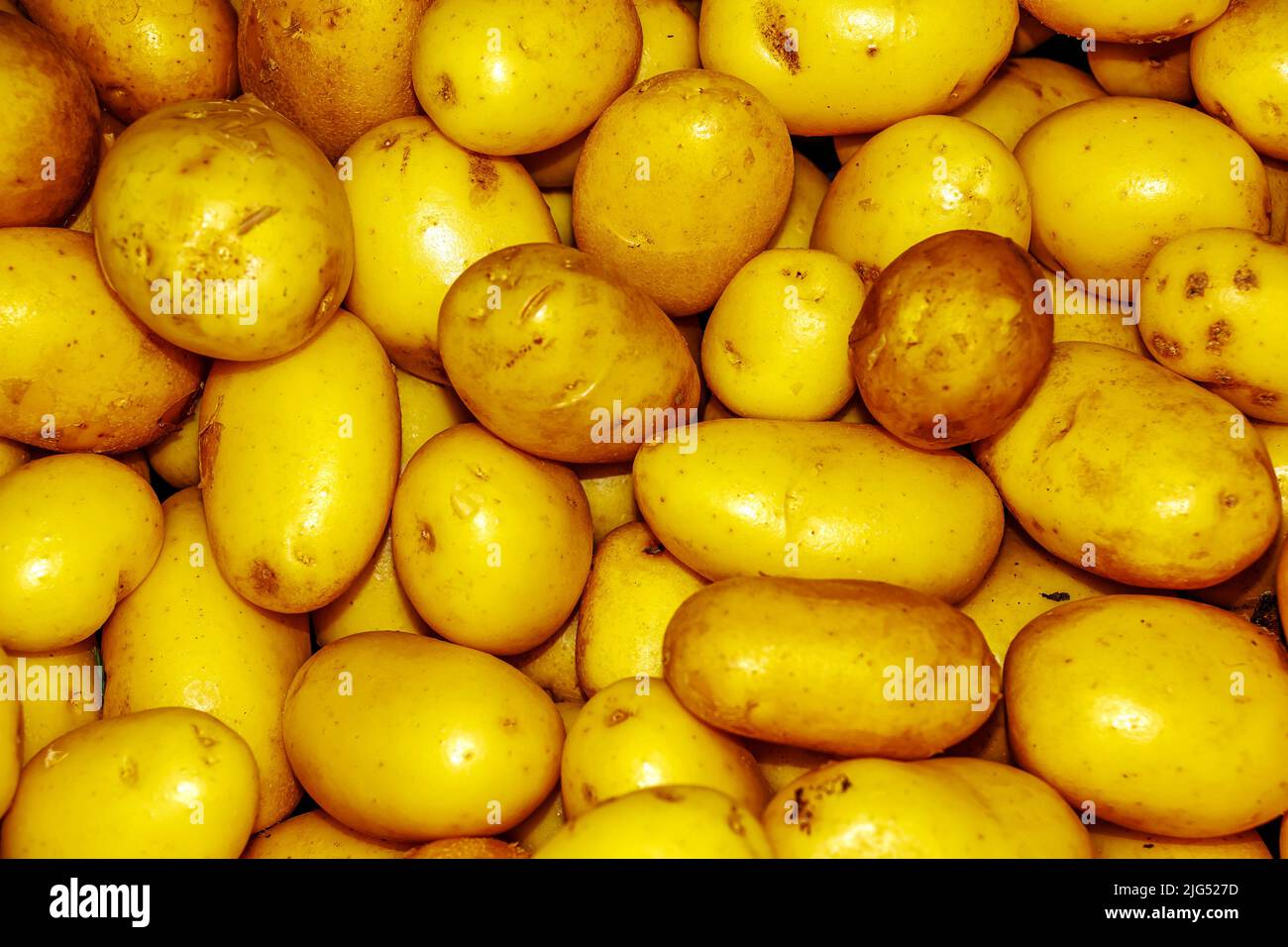 Potato Background In The Traditional Market, Food background. Potatoes ...