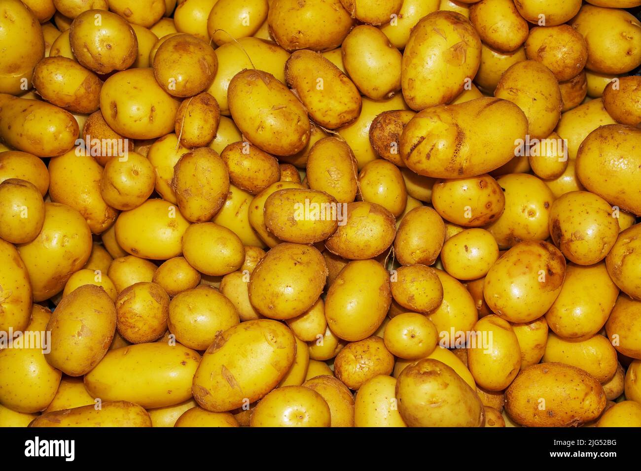 Potato Background In The Traditional Market, Food background. Potatoes ...