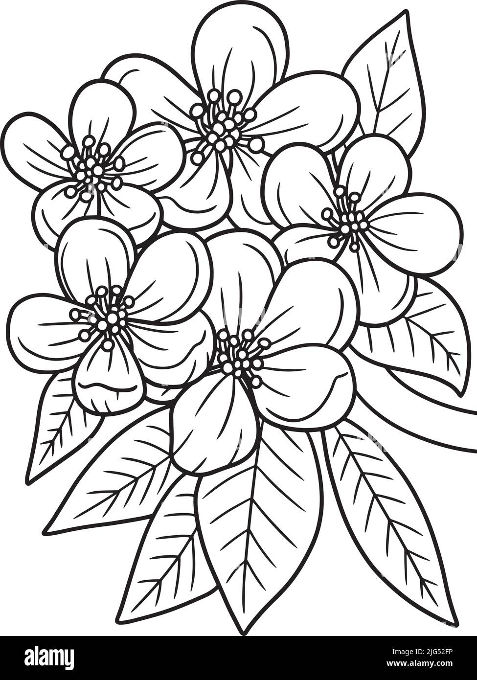 Apple blossom garden Stock Vector Images - Alamy