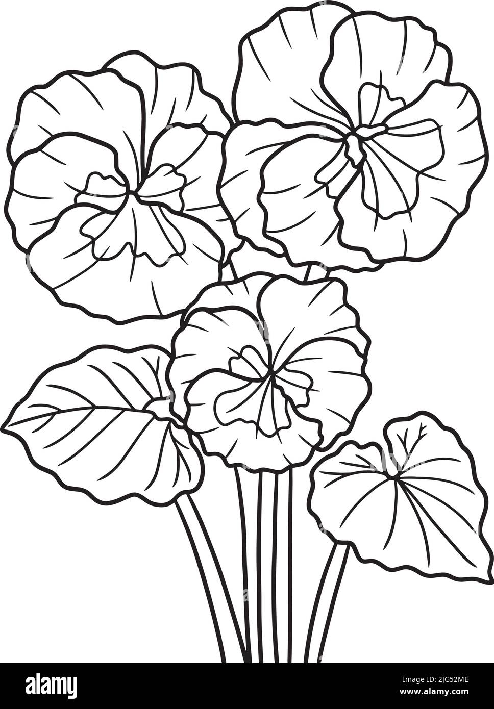 Violet Flower Coloring Page for Adults Stock Vector Image & Art - Alamy