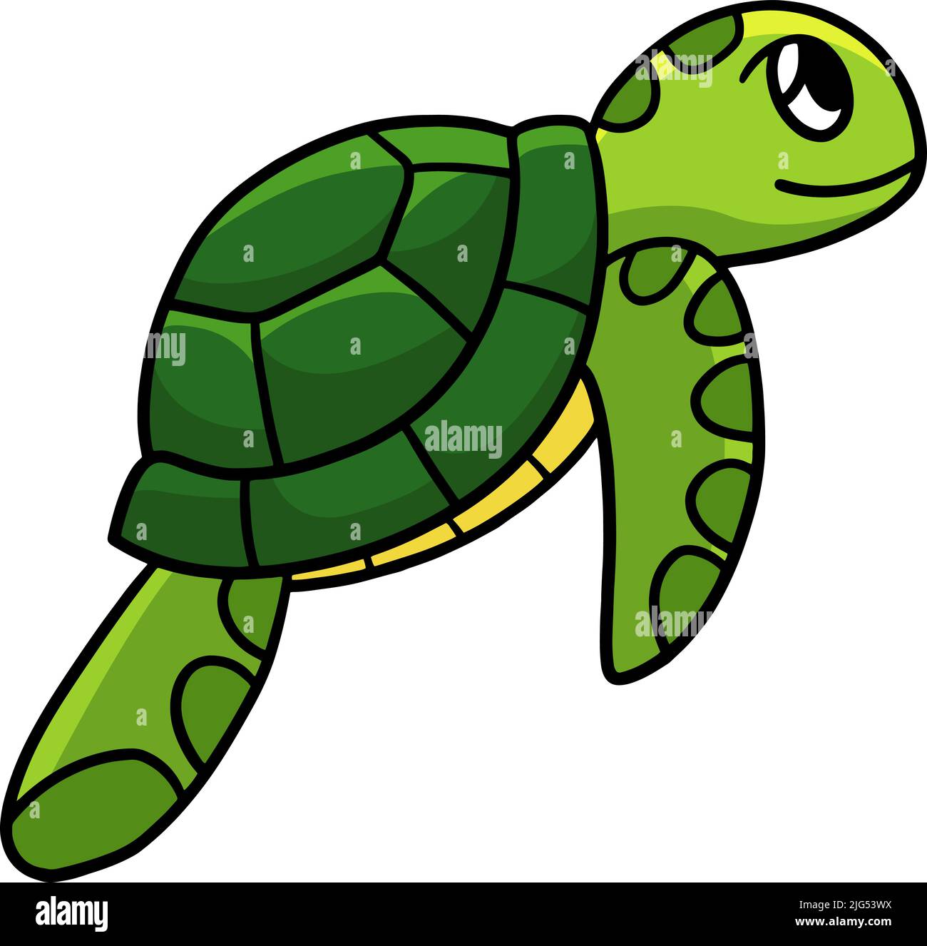 Cartoon Turtle