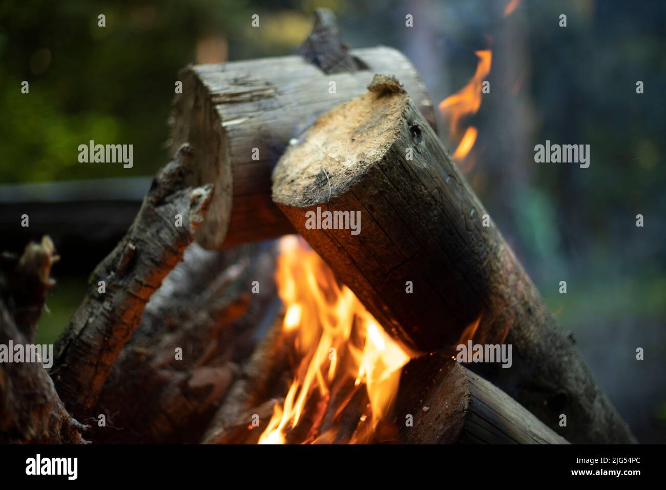 Bonfire in woods. Burning of dry branches. Burning wood Stock Photo - Alamy