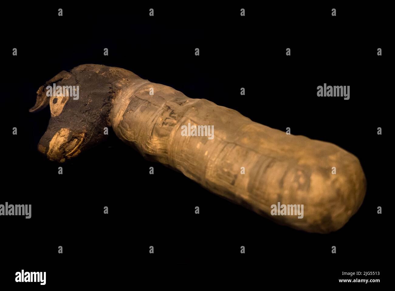 Mummified egypt dog hi-res stock photography and images - Alamy