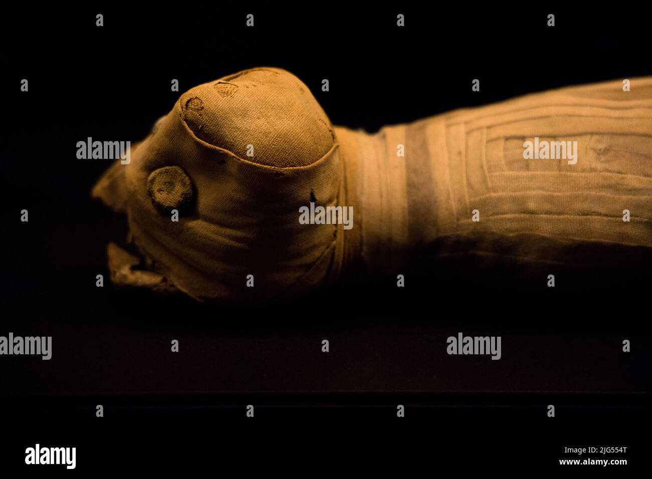 Mummified cat hi-res stock photography and images - Alamy