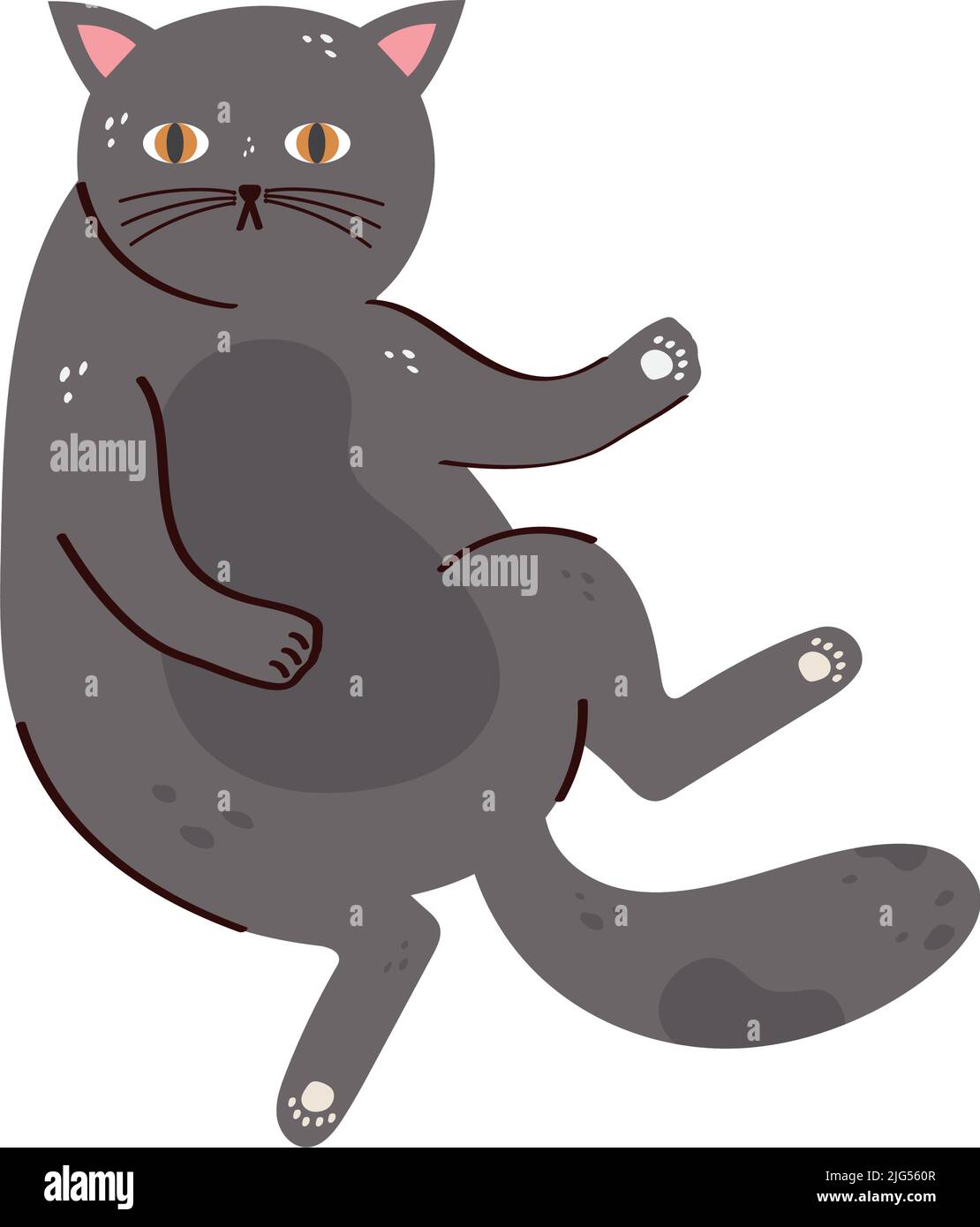cute gray cat pet Stock Vector Image & Art - Alamy
