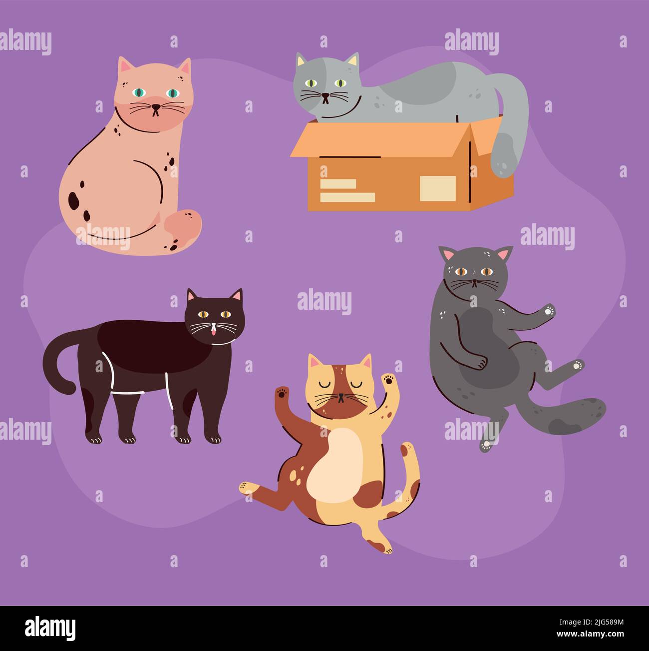 five cute cats pets Stock Vector Image & Art - Alamy
