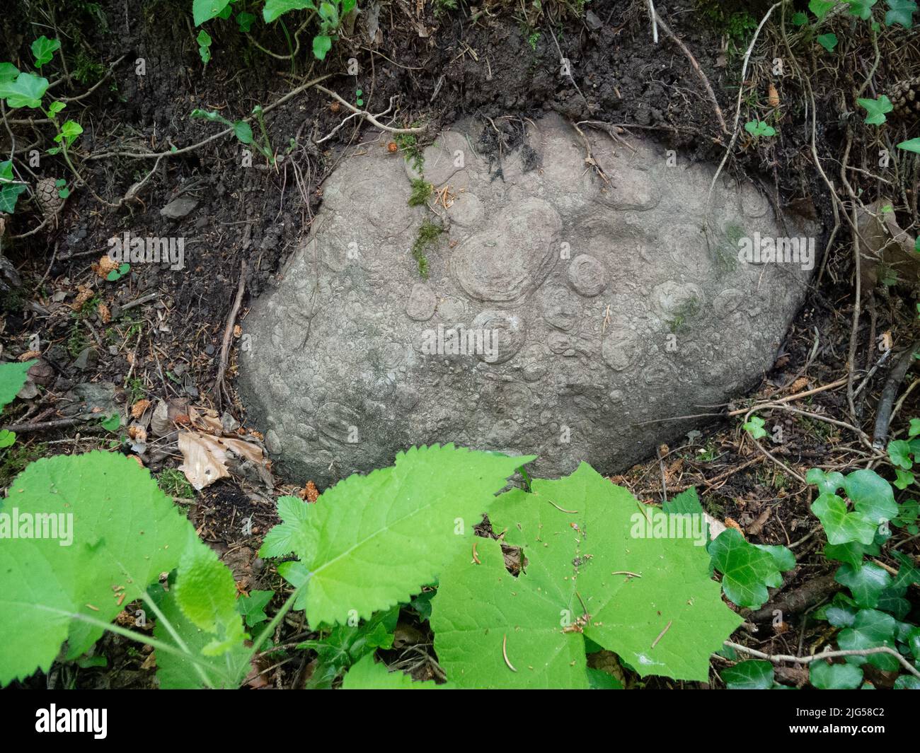 Onkoids . Onkolith . Onkoiden Stock Photo - Alamy