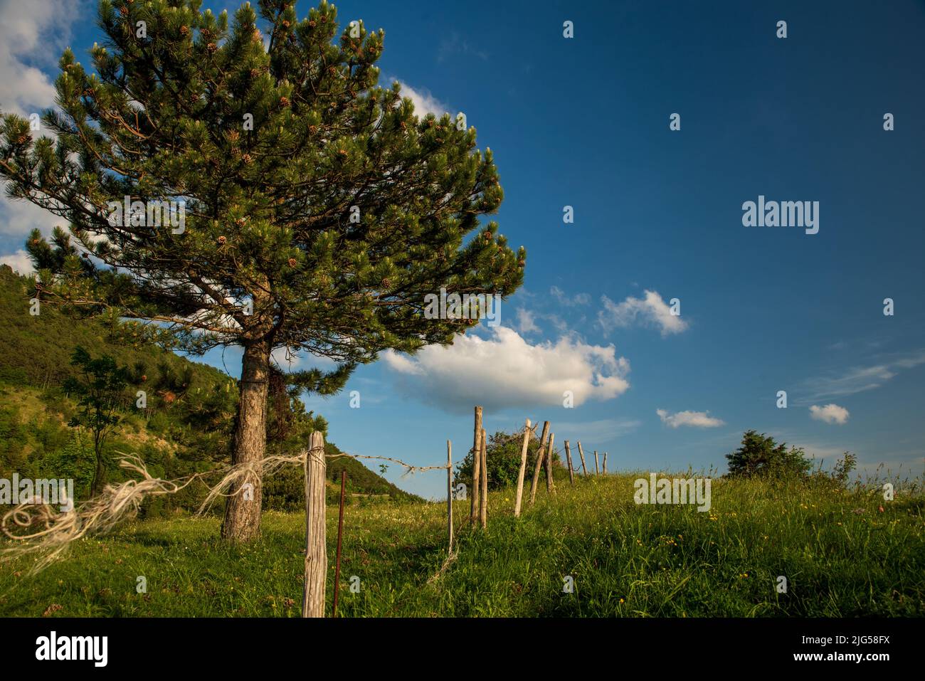 View of monte Nerone slope in Marche Region in Italy Stock Photo - Alamy