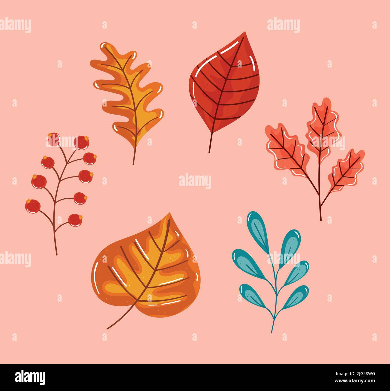 six autumn season icons Stock Vector Image & Art - Alamy