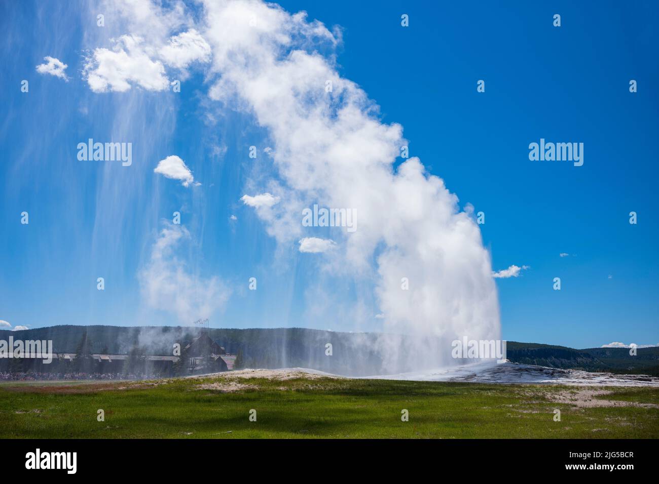 The famous geyser, Old Faithful, photographed on a sunny day at ...