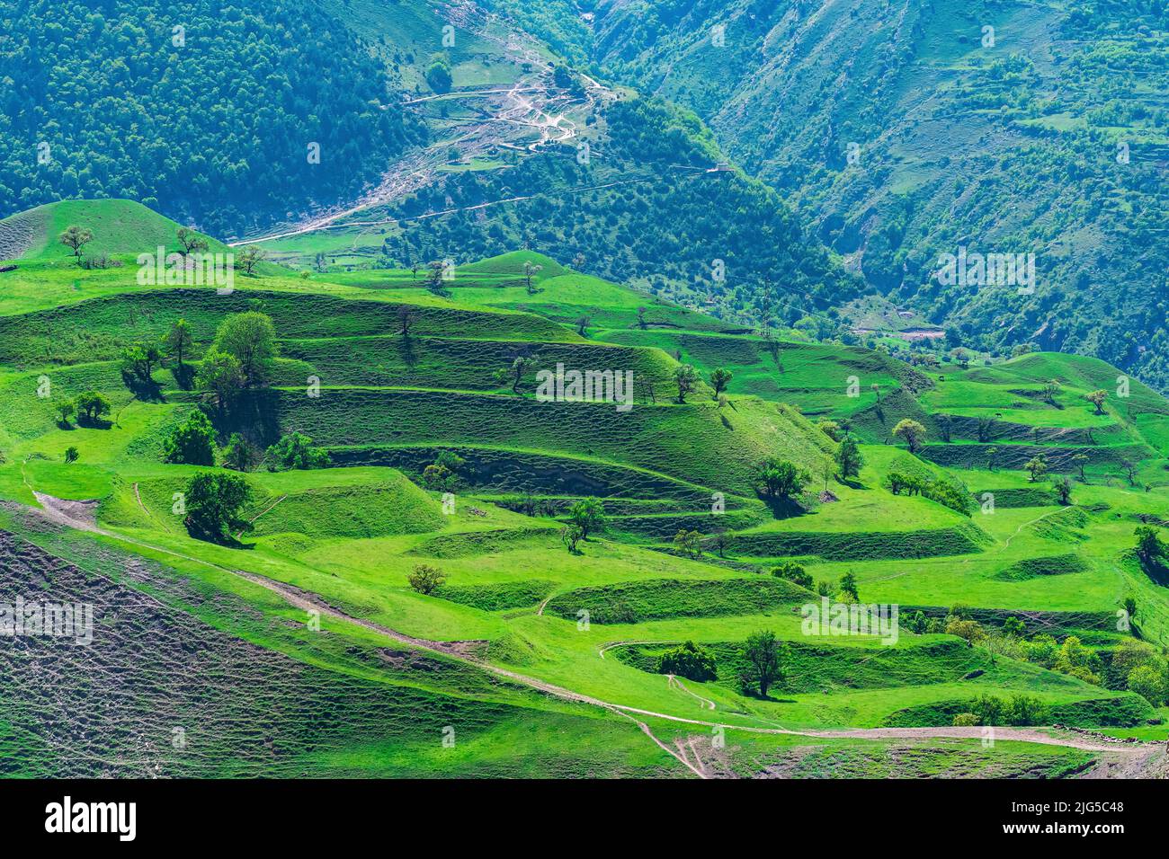 mountain landscape with green agricultural terraces on the slopes Stock ...