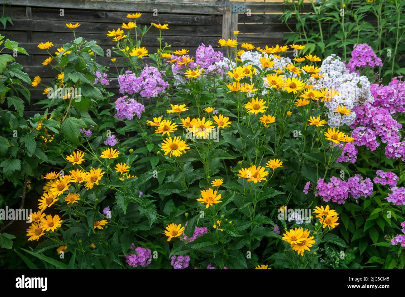 The flower of the east hi-res stock photography and images - Alamy