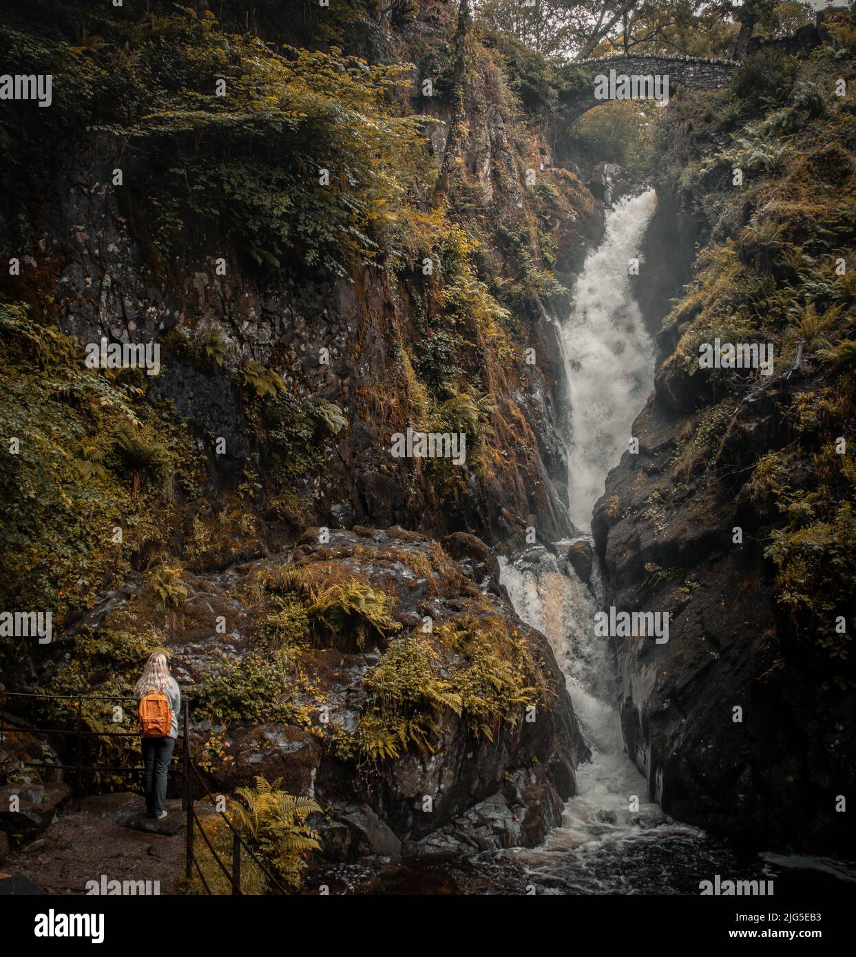 Solo Female Backpacker with orange backpack exploring waterfalls Stock ...