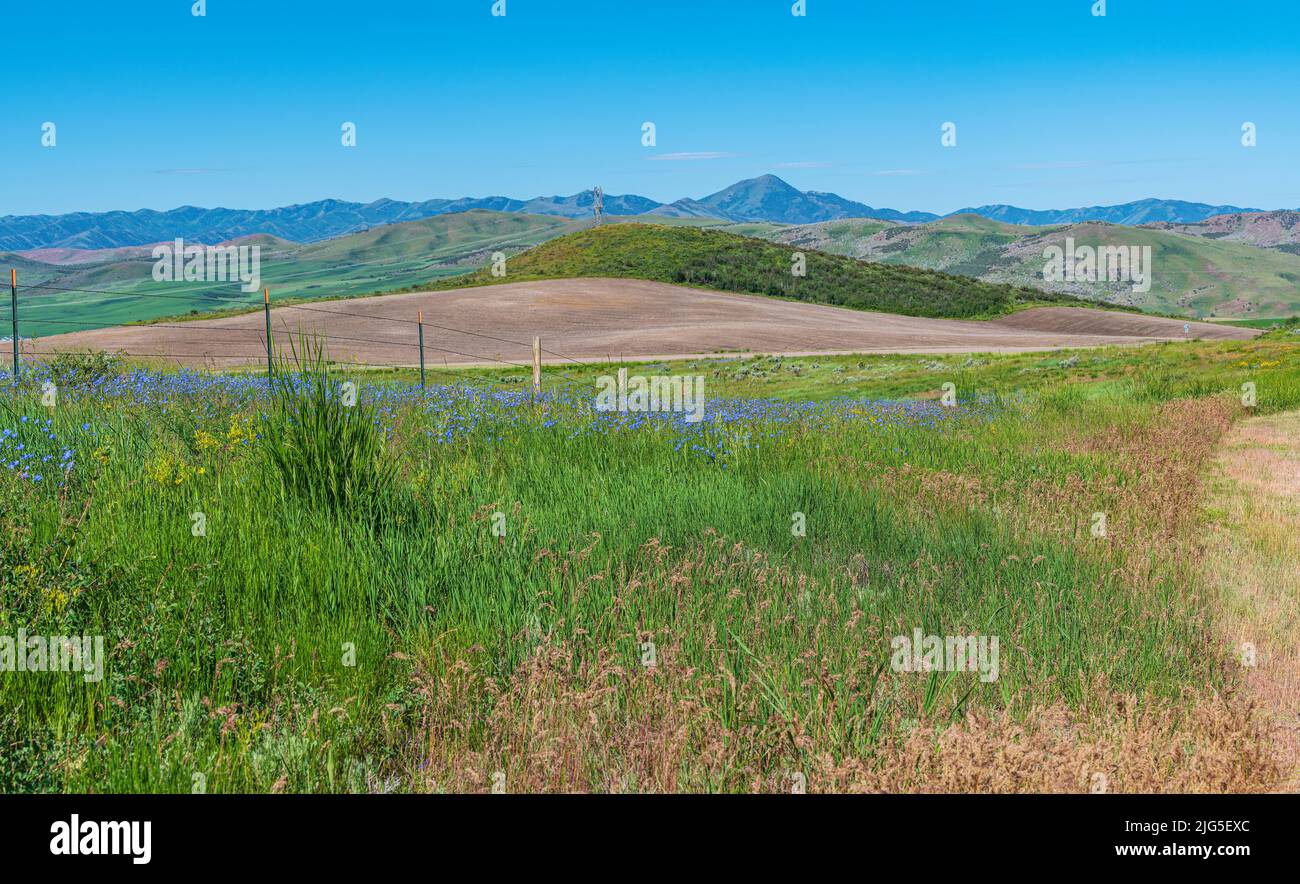 Idaho state beautiful prairies and country valleys a scenic pleasure ...