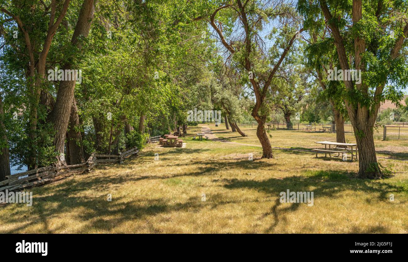 Park and picnic benches in Eastern Oregon Stock Photo - Alamy