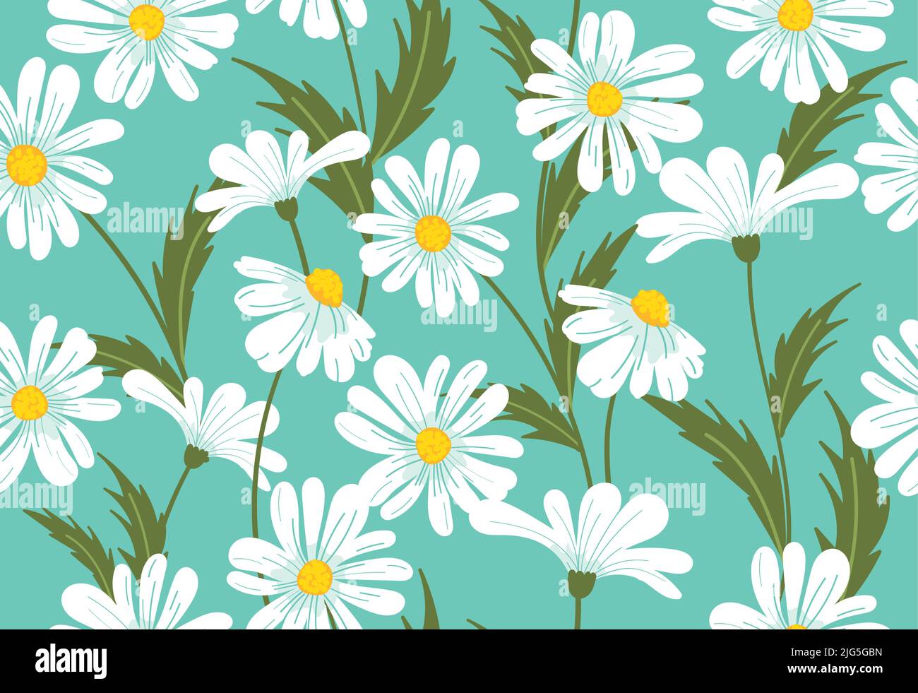Daisy seamless pattern Stock Vector Image & Art - Alamy