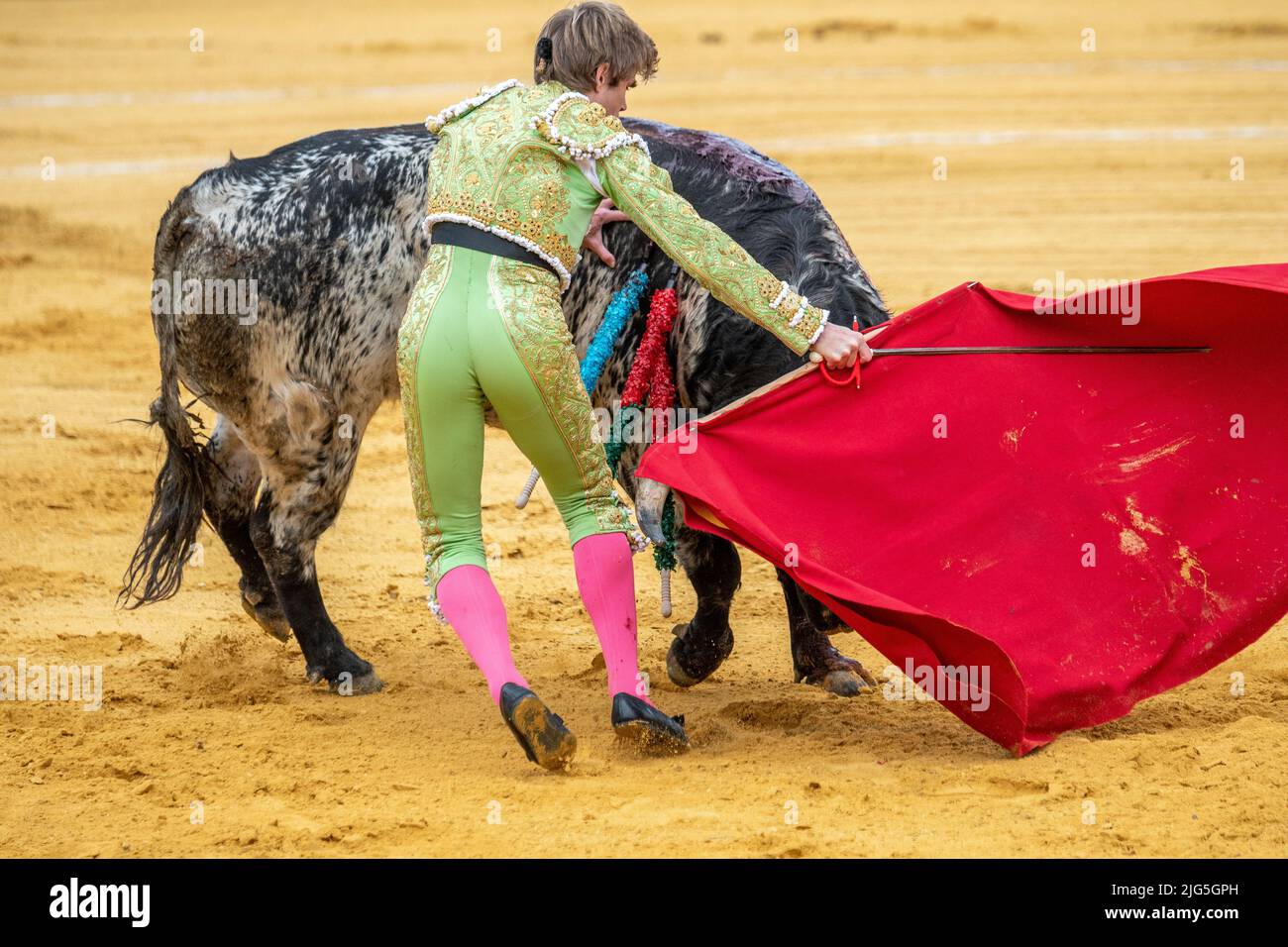 Bullfight in Sanlucar la mayor, Spain Stock Photo - Alamy