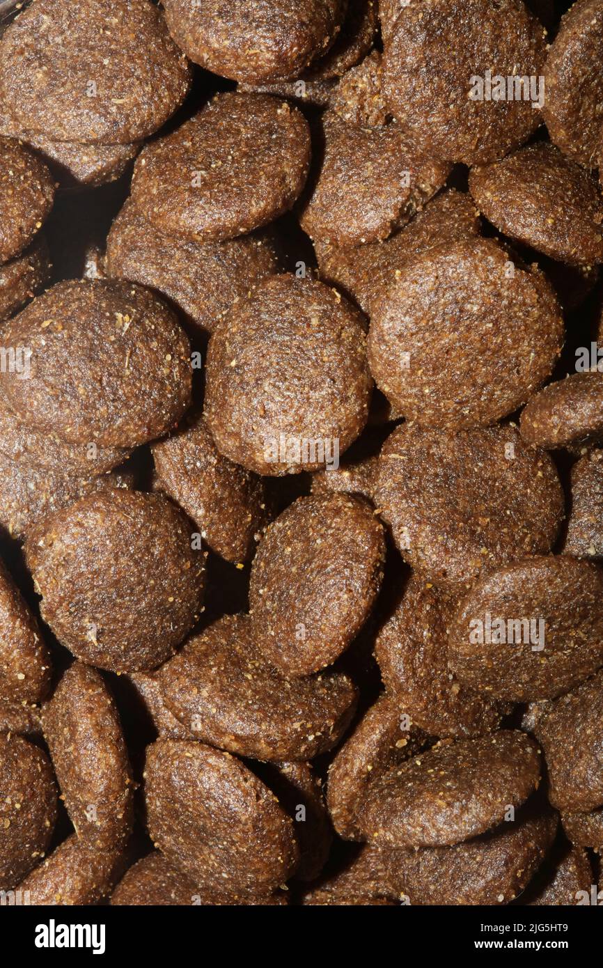 Dogs dry round food close up animals eating background high quality big ...