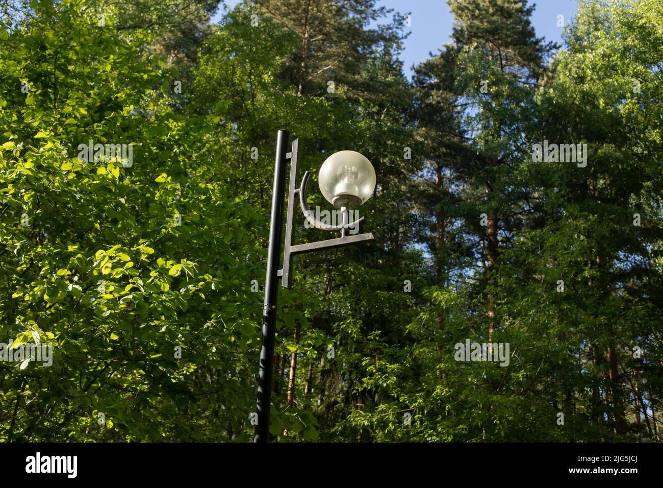Electrical wires and pole. City light. Electric infrastructure in city ...