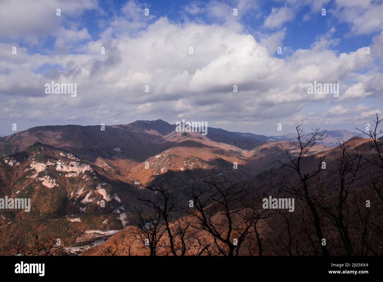 Beautiful autumn colorful red and orange tree in the mountain on the ...