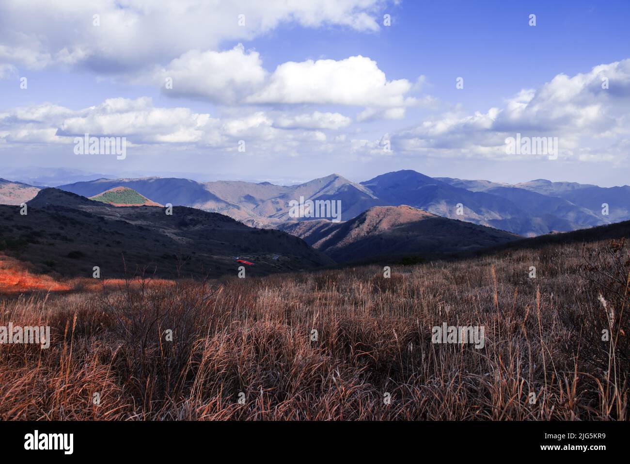 Beautiful autumn colorful red and orange tree in the mountain on the ...