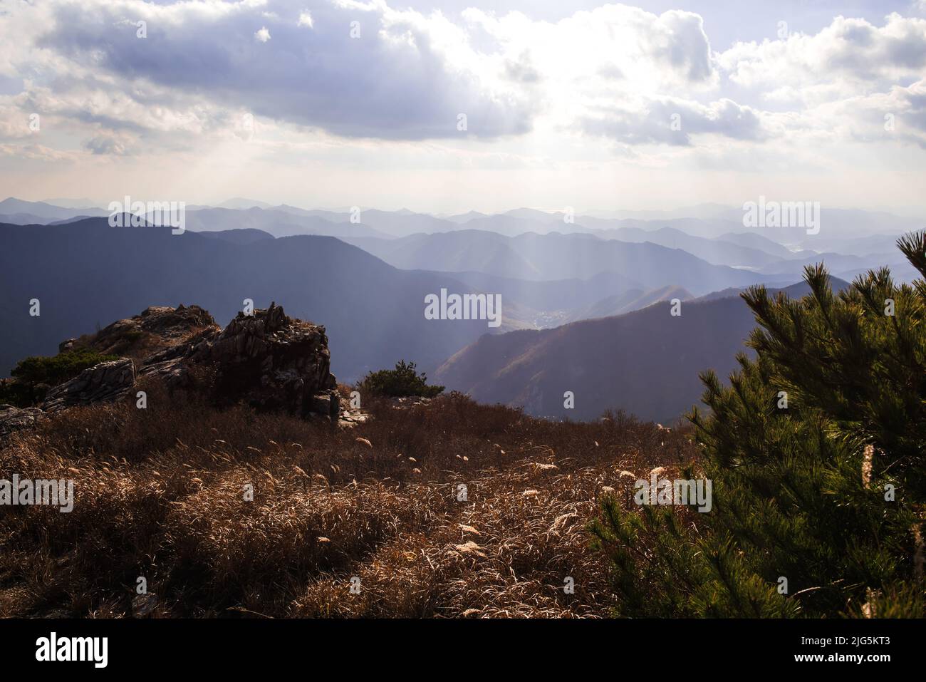 Beautiful autumn colorful red and orange tree in the mountain on the ...