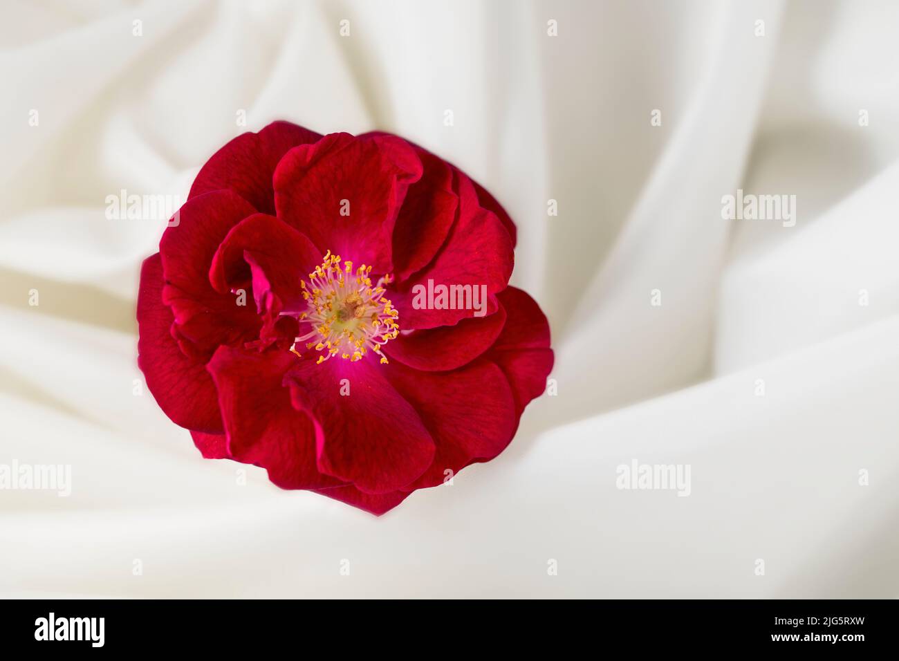 Twirled cloth hi-res stock photography and images - Alamy
