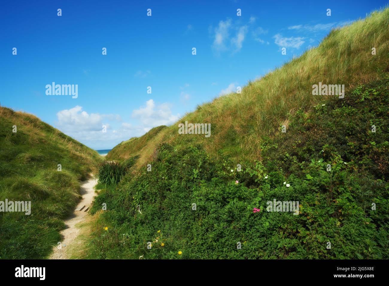 Ground blue sky path hi-res stock photography and images - Alamy
