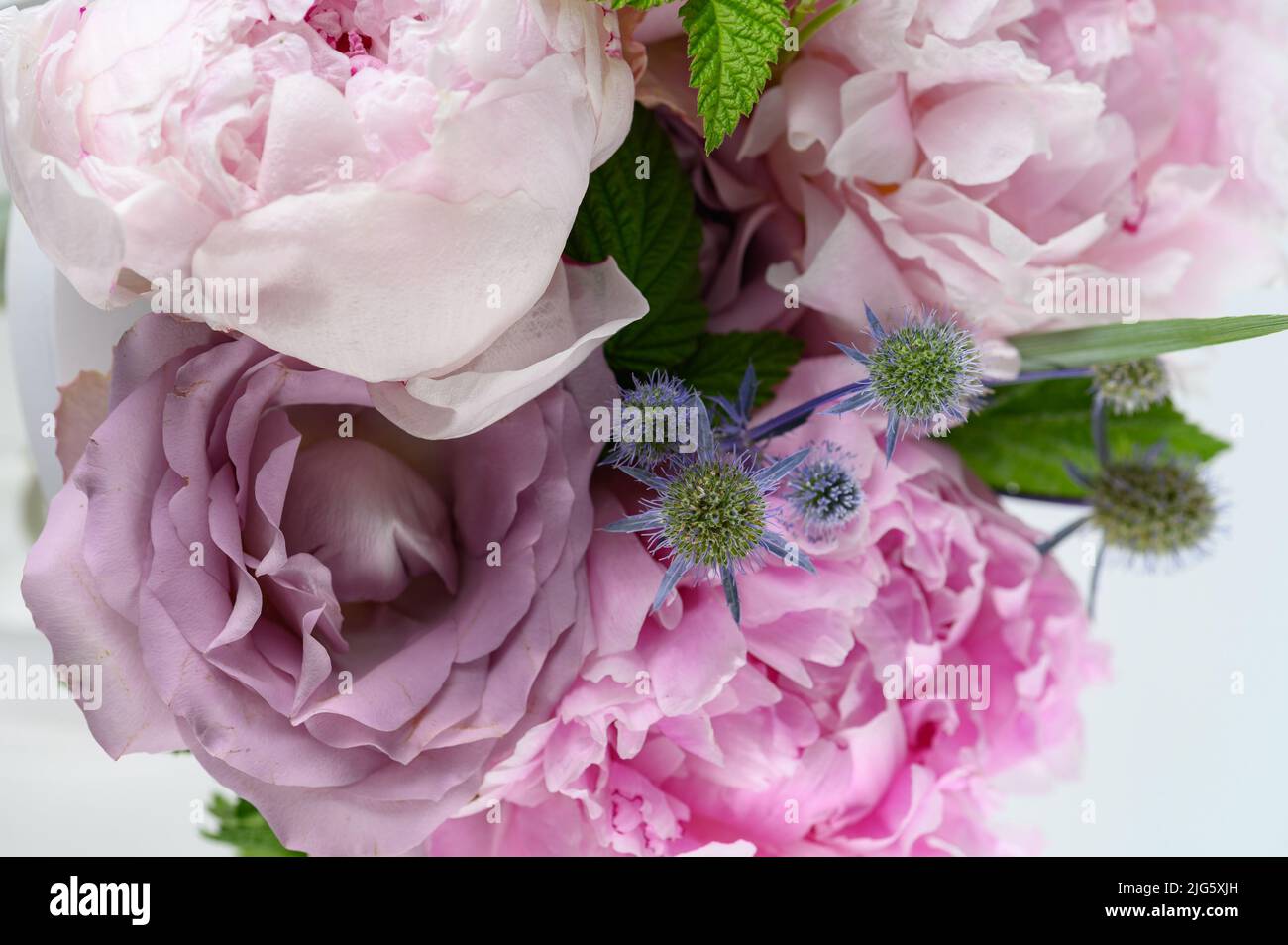 Abstract flower bouquet background under water drops Stock Photo - Alamy