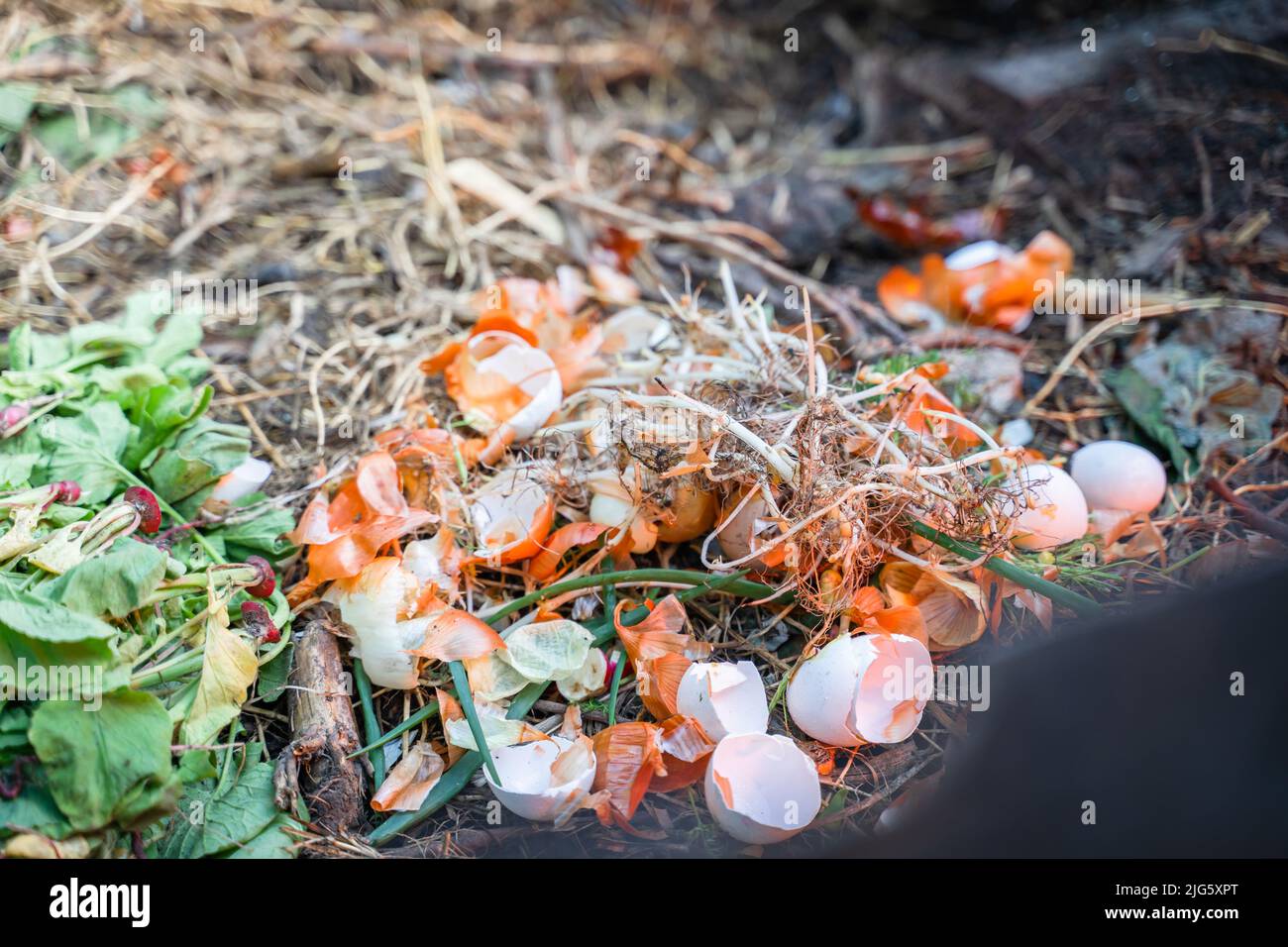 Egg shells on a compost heap close-up. Food and organic waste in non ...