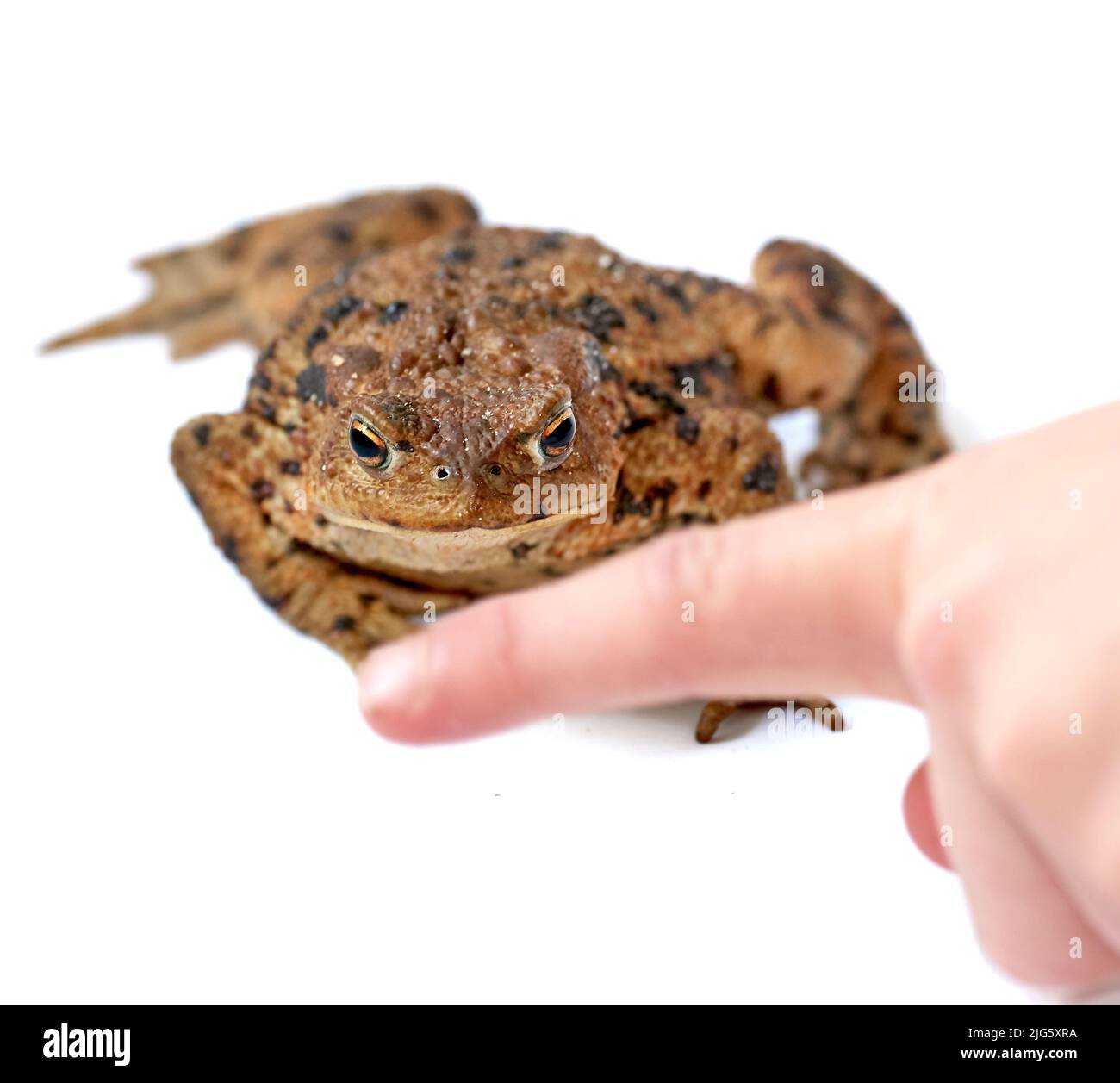 Rough finger hi-res stock photography and images - Alamy