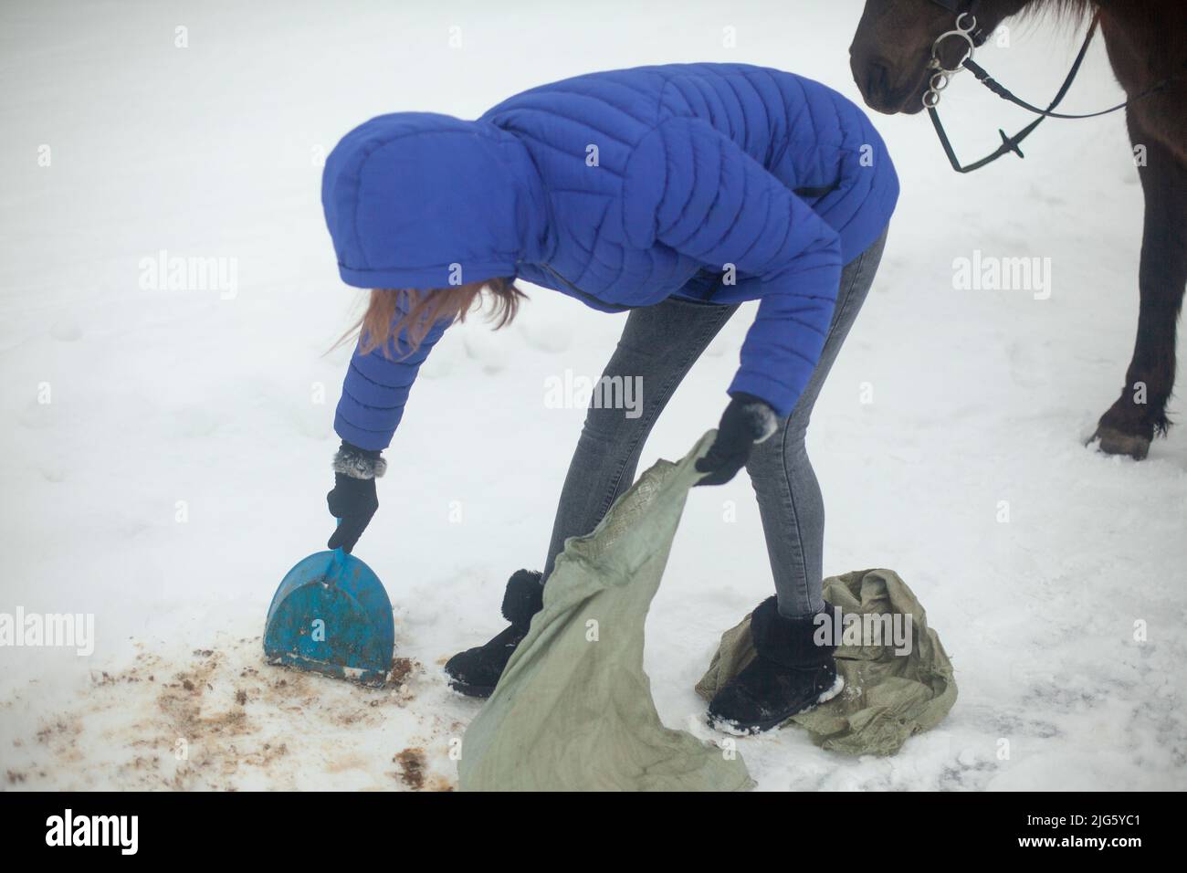 The Girl Cleans The Horse Manure Horse Manure In The Park Cleaning