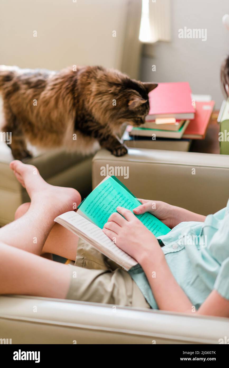 Dyslexic child reading with dyslexia color overlay in his book. A green ...