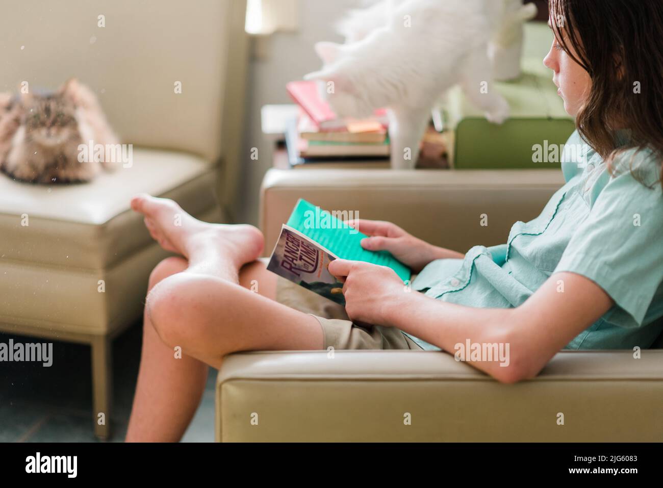 Dyslexic child reading with dyslexia color overlay in his book. A green ...