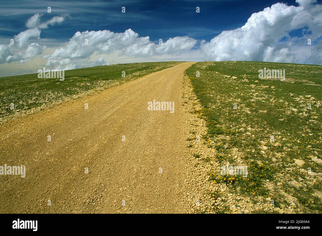 Road exploration hi-res stock photography and images - Alamy
