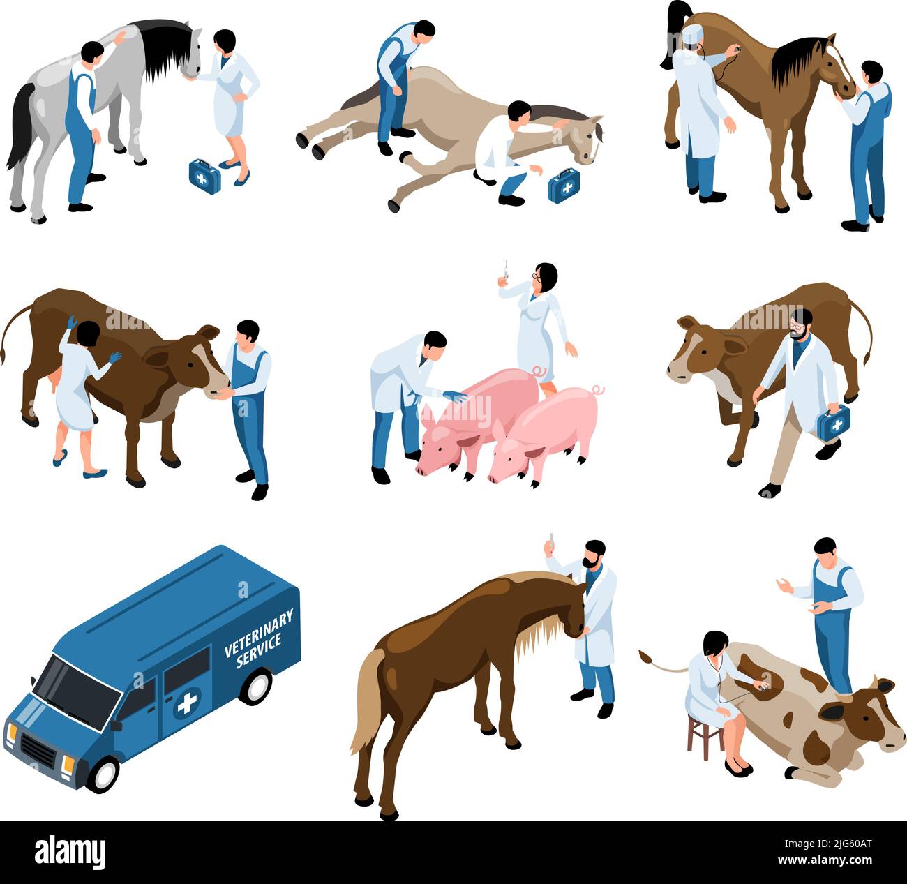 Farm livestock veterinary isometric set with large animal vet examines ...